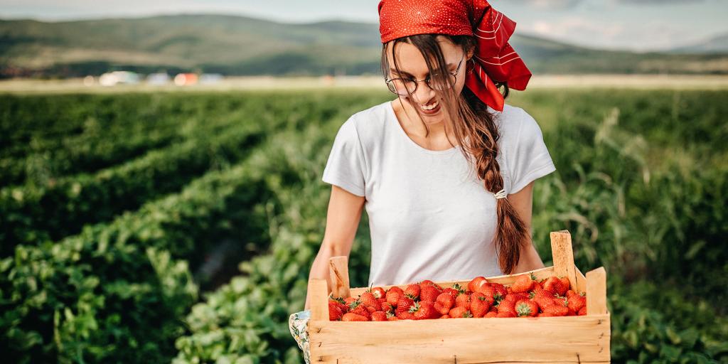 Promutuel Insurance is THERE, for you, throughout Québec