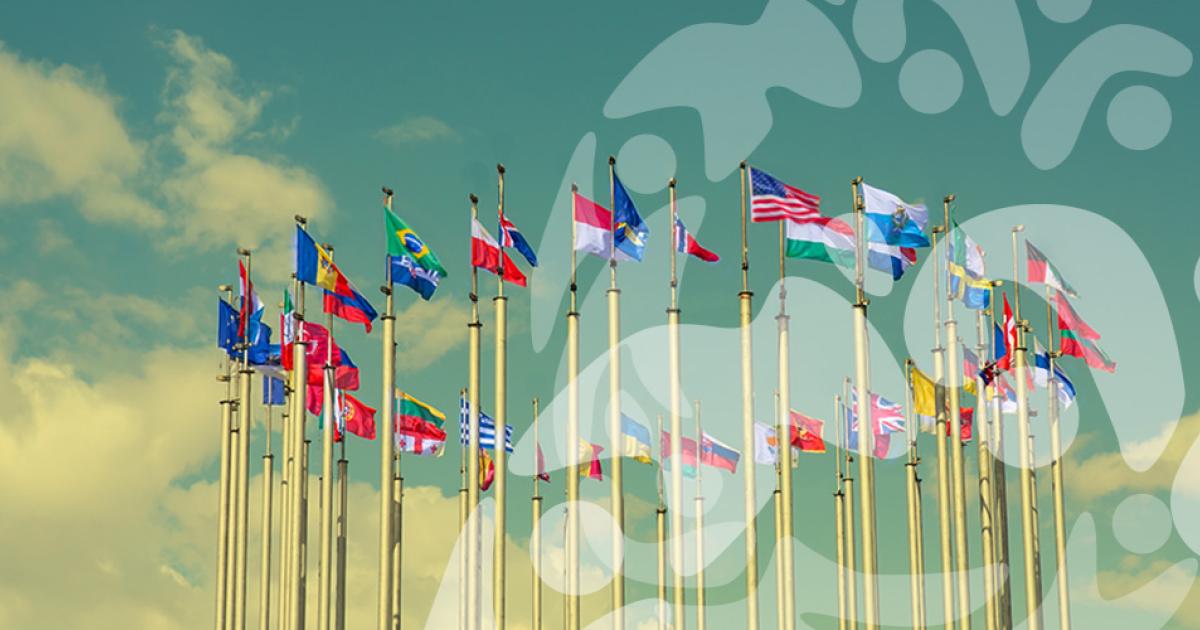 International Year of Cooperatives 2025 for Promutuel Insurance ...